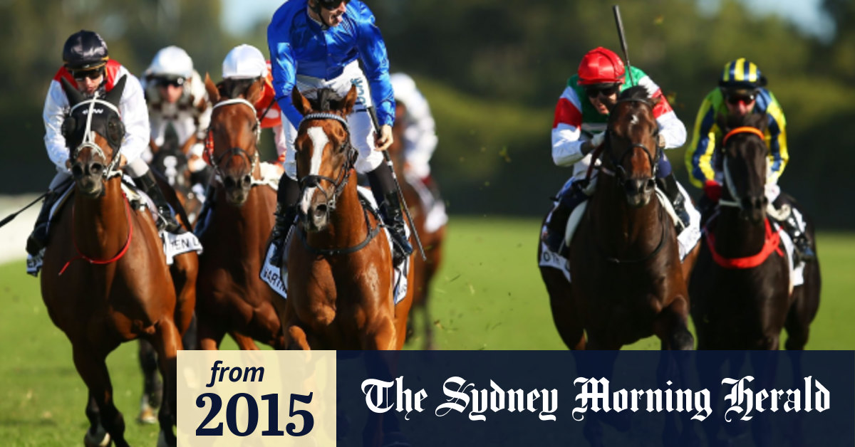 Trainers John O'Shea, Gai Waterhouse unfazed by Chris Waller's ...