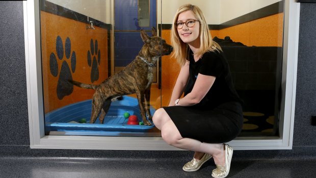 Two Feet helps Happy Paws program step forward to help lonely