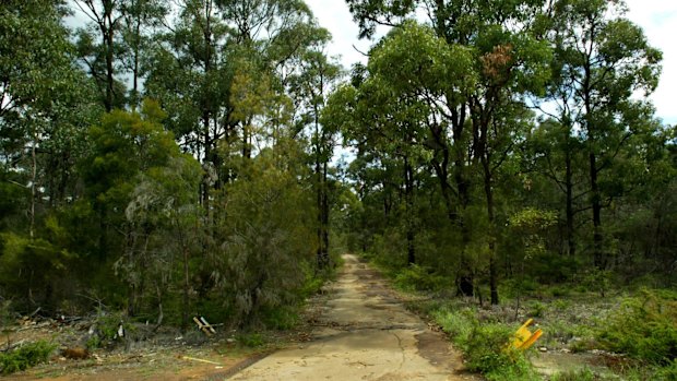 Native Vegetation Act: Environmental groups condemn change