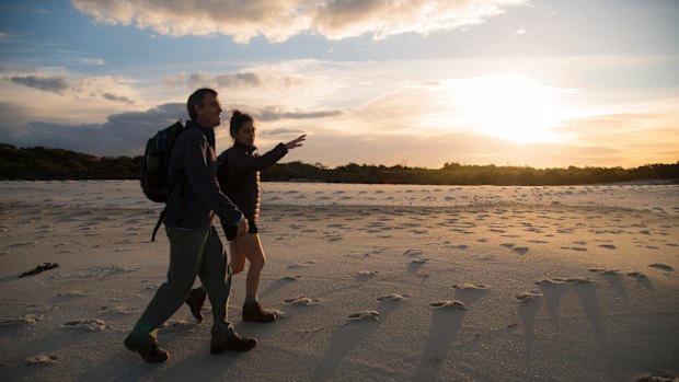 Indigenous guided walks in Australian cities: Now's the time to learn ...