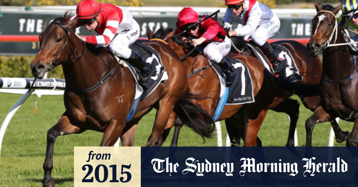 Stewards consider delay in Sam Kavanagh cobalt hearings