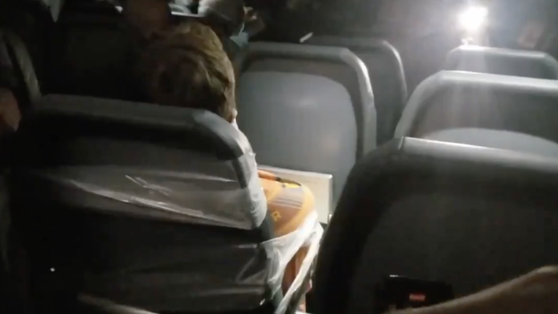 Plane passenger taped to seat after allegedly groping, punching ...