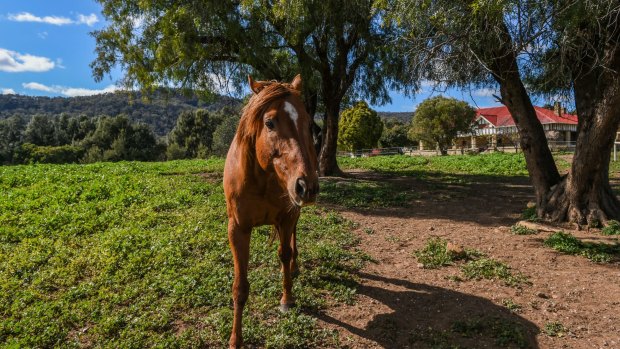 New Bylong Valley mine raises the question of whether prime ...