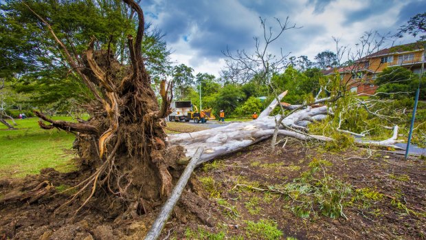 Queensland storms leave costly clean-up bill