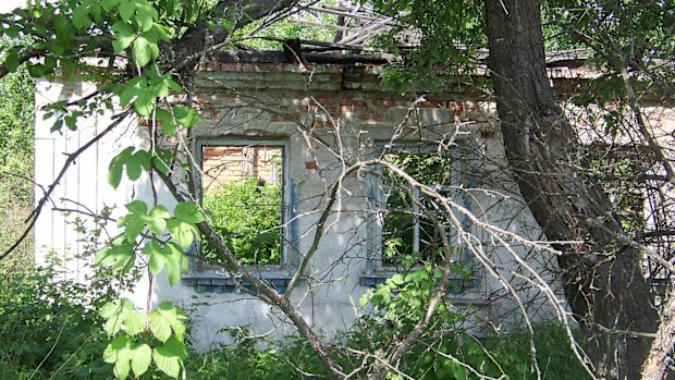 'The scent of fresh dew' - child of Chernobyl Olena Fedorova remembers ...