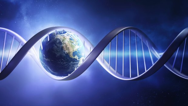 Counting all the DNA on Earth