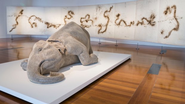 Visual art review: GOMA celebrates a decade with finches, horses and ...