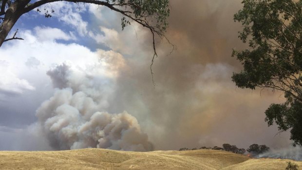 Victorian fires: Blazes destroy homes near Ballarat, threaten outskirts ...