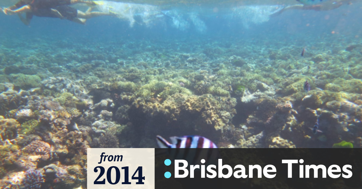 Climate change biggest Great Barrier Reef threat: report