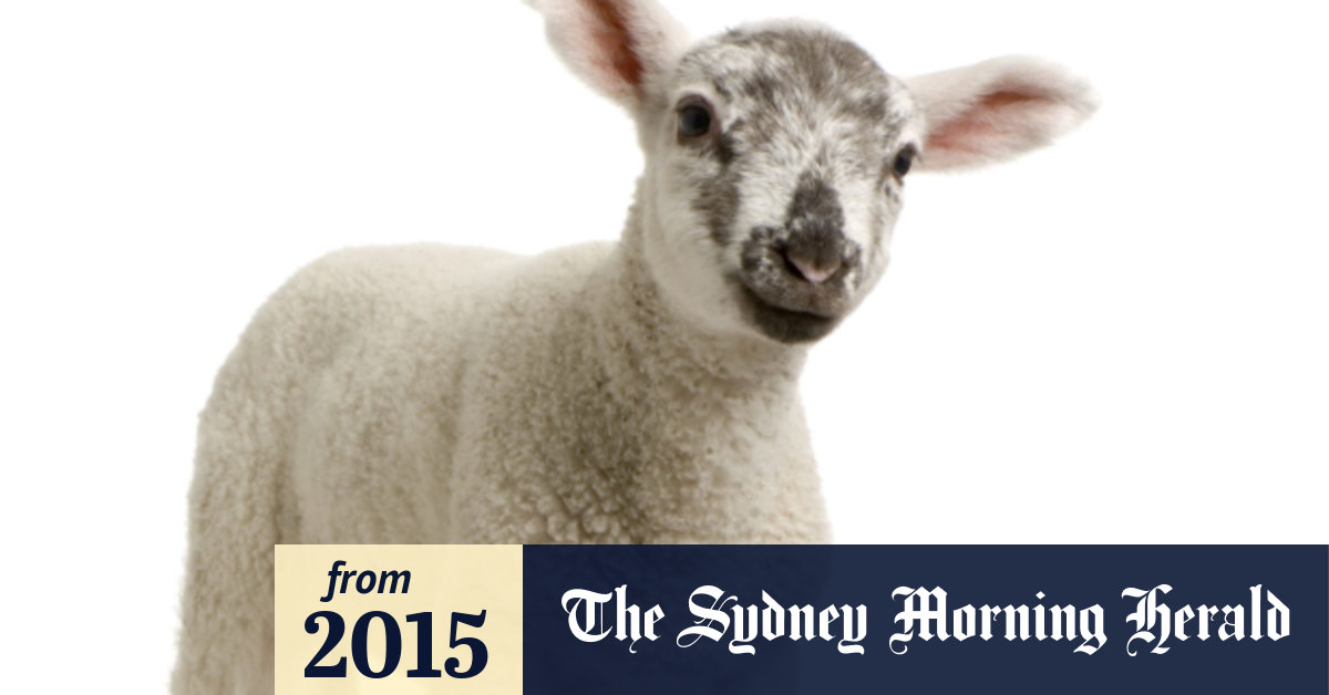 France investigates how genetically-modified lamb ended up on a plate