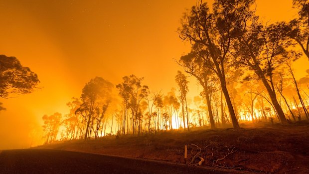 'Like a bomb blast': WA firefighter shares stark blaze images