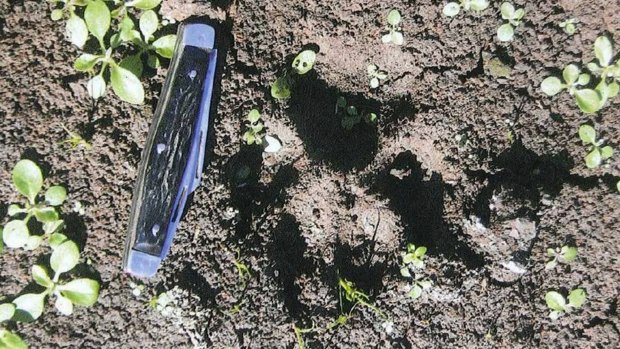 'Hannibal Lecter' of dogs meets grisly demise after tormenting sheep ...