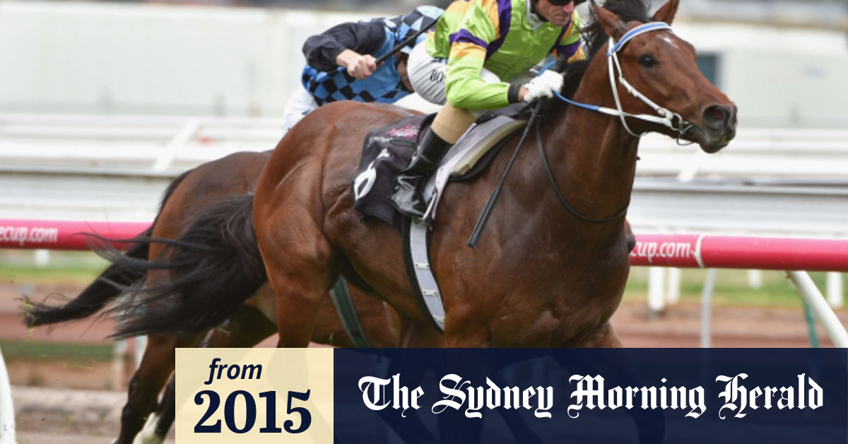 Spring stars to clash in Coolmore as David Moodie tips Kinglike to be ...