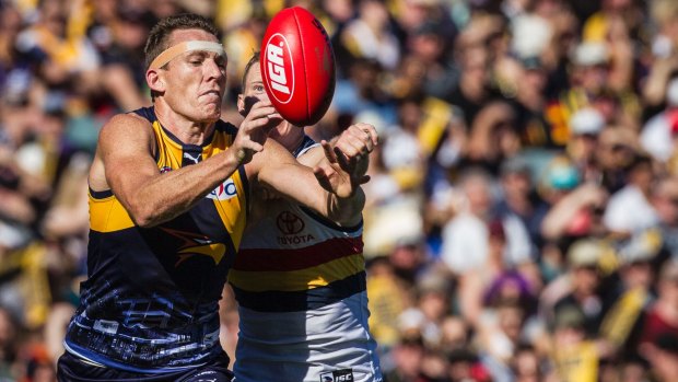 After thinking it was all over, Drew Petrie is playing a crucial role ...