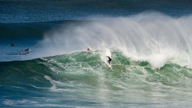 Surfers flock to massive waves on Victoria's own Big Wednesday