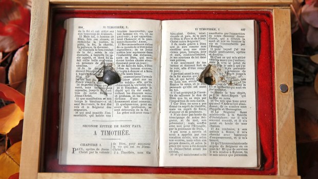 Anzac Day 2015: The bullet in the bible that led to salvation