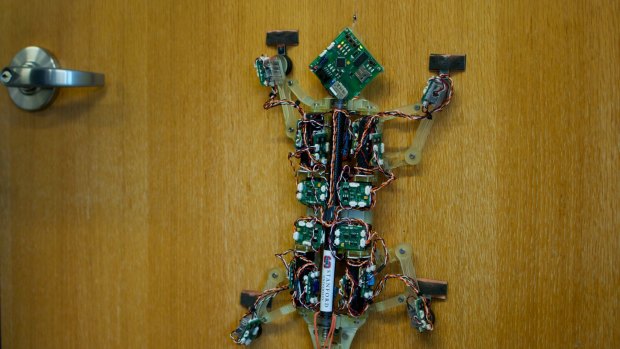 Stickybot is what you get when you blend a drone and a gecko