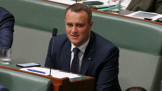 Liberal MP Tim Wilson blames failure to pass same-sex marriage for ...