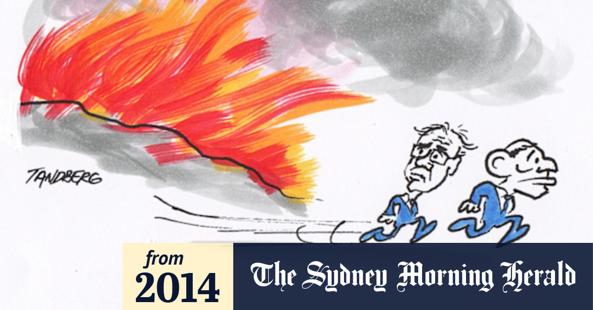 Cartoons for Monday December 22