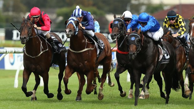 Hallowed Crown’s win sets the stage for a thrilling Randwick Guineas