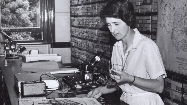 CSI Green Thumbs: Royal Botanic Garden scientists find the culprit