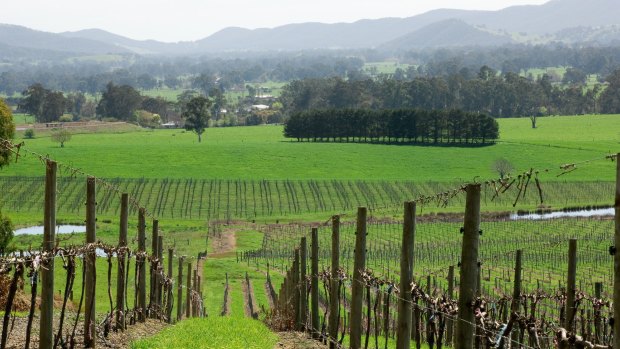 Victoria: Things to see and do in King Valley (and surrounds)