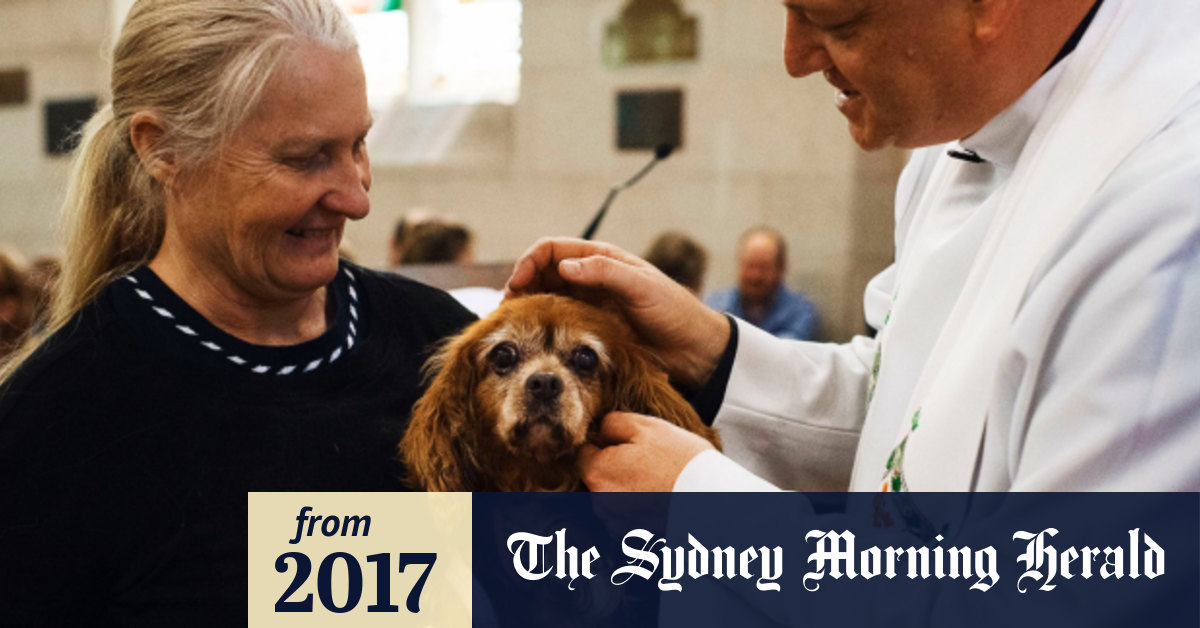 Blessing of the Animals church service