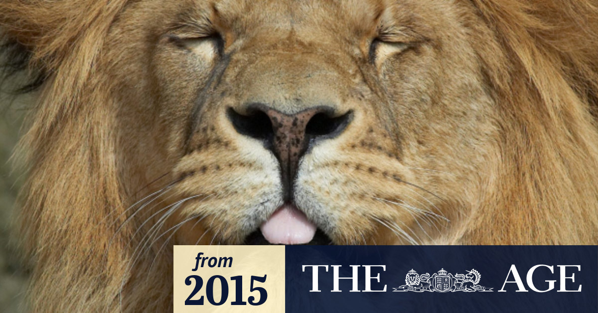 Weird news from around the world: A week of odd spots, August 8