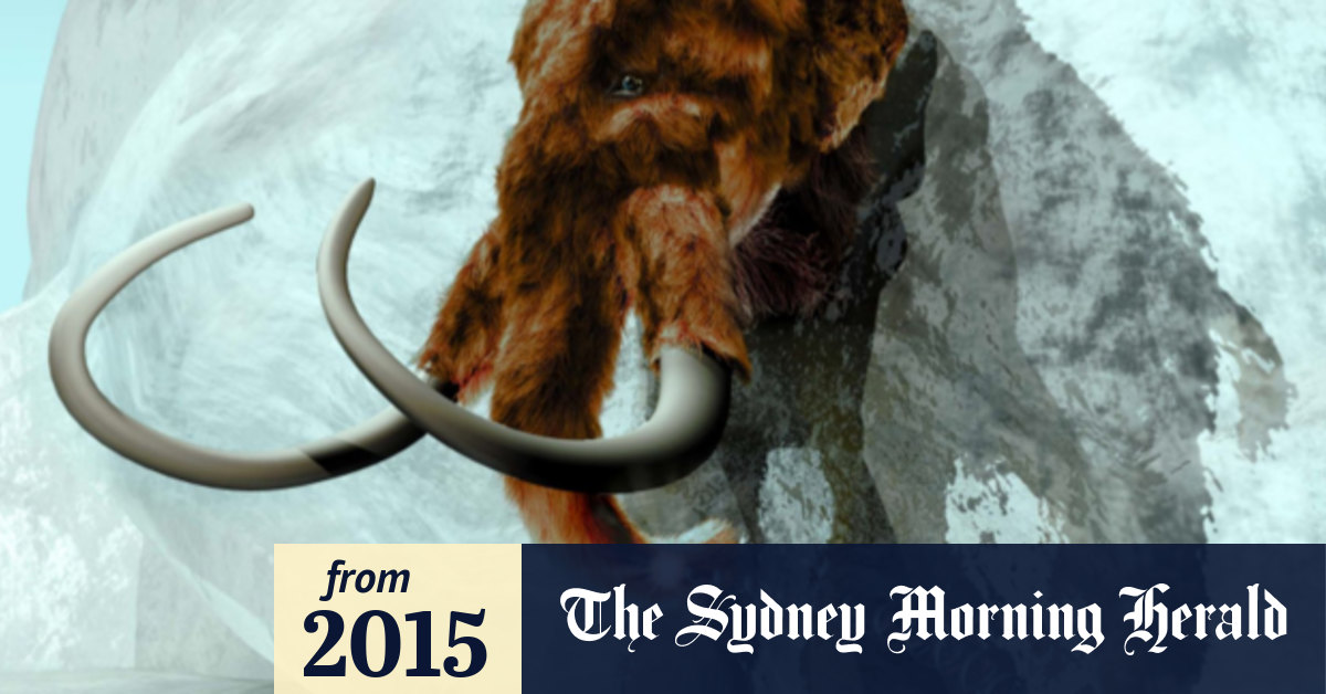 Can we bring back the woolly mammoth?