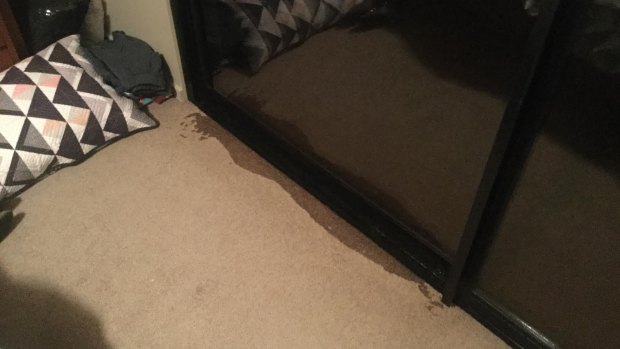 Melbourne's high-rise nightmares taking a tall toll on residents and ...