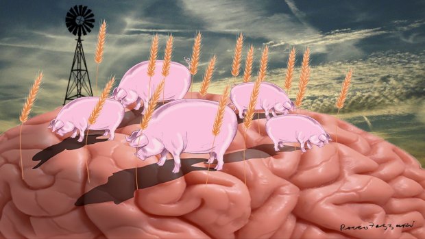 Bring out the pigness of the pig, the chickenness of the chicken