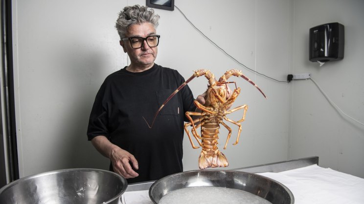 how to cook live crab humanely