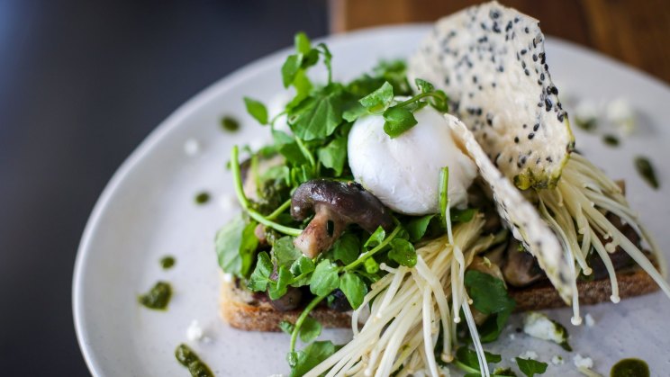 how to cook cafe style poached eggs