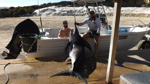 Monster catch: Anglers reel in 175kg swordfish off WA coast