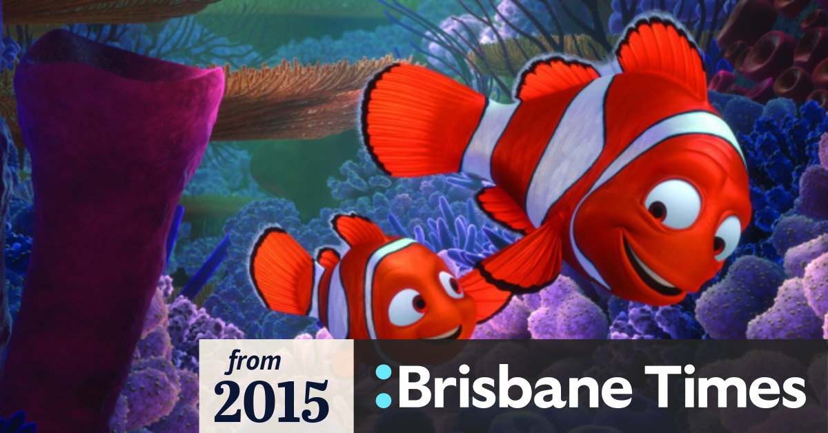 Great Barrier Reef sediment clogs clown fish gills: study