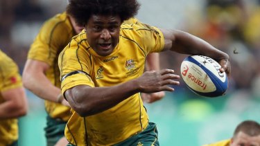 Former Wallabies star Radike Samo to return for Queensland Reds in ...