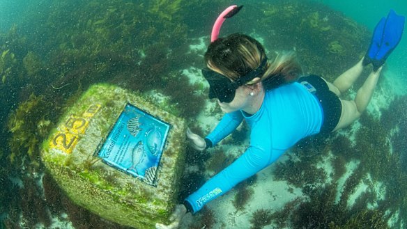 Marmion Marine Park: Perth's new dive and snorkel trail