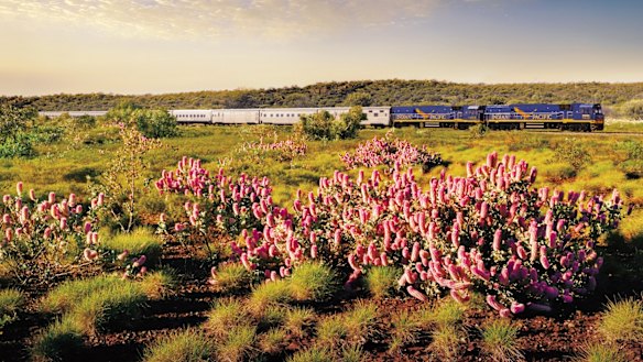 The Indian Pacific: An epic train journey across Australia, from Perth ...