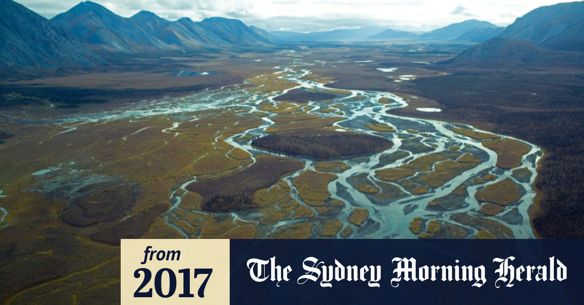 Conservationists losing fight to save Alaska wildlife refuge from drilling