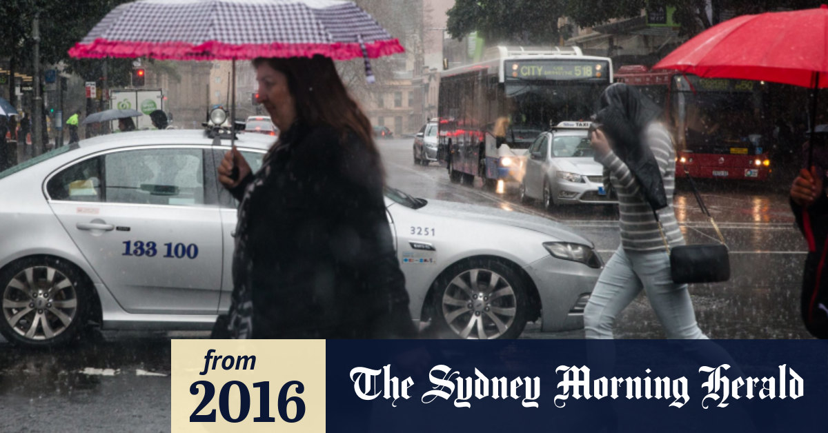 Sydney weather: cold snap brings rain and temperature drops for the end ...