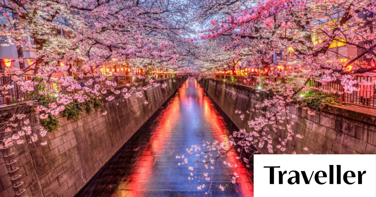 Where to travel when all of this is over: David Reyne's dream destinations