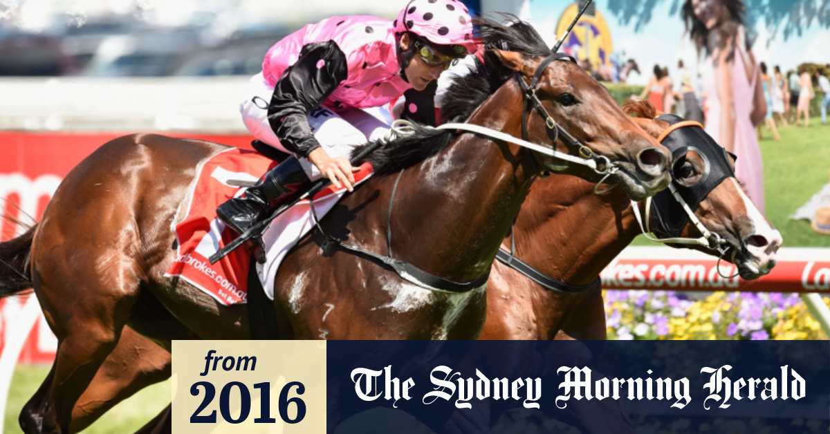 Racing: Mick Price rates Flying Artie up with Extreme Choice for Blue ...