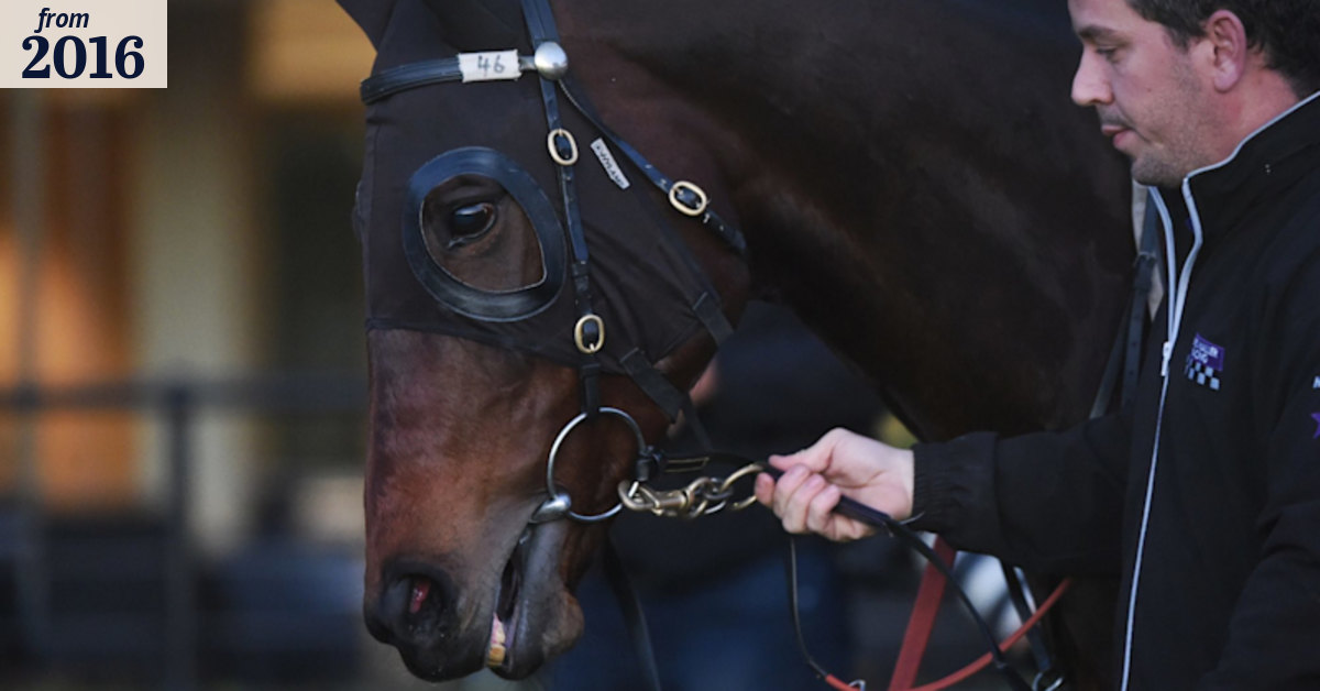 Peter Tighe finds his champion in Winx after 20-year wait