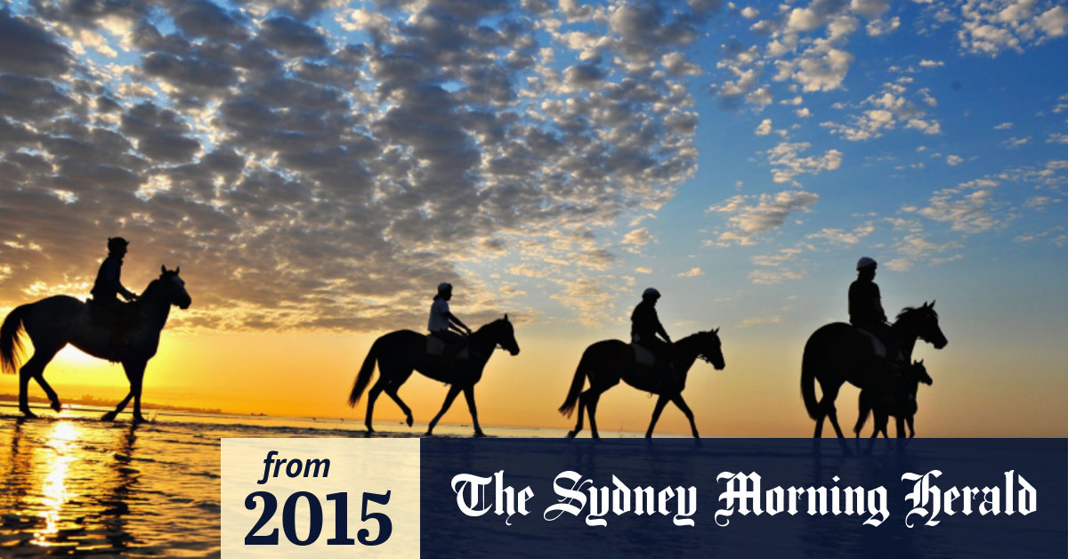 Great horses the best advertisement for the racing industry