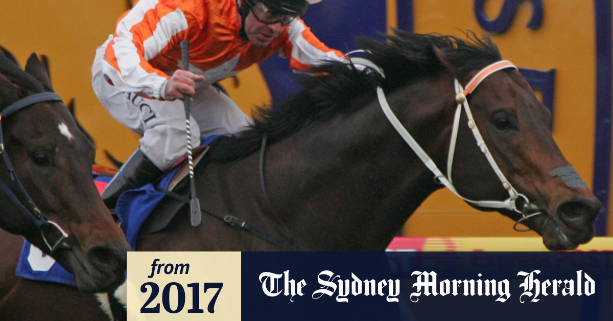 Bloodlines: stallion I Am Invincible ready to set the bar even higher