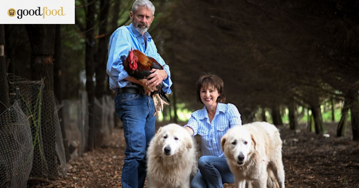 Worrying sign for artisan producers: Milking Yard chooks and Shaw River ...