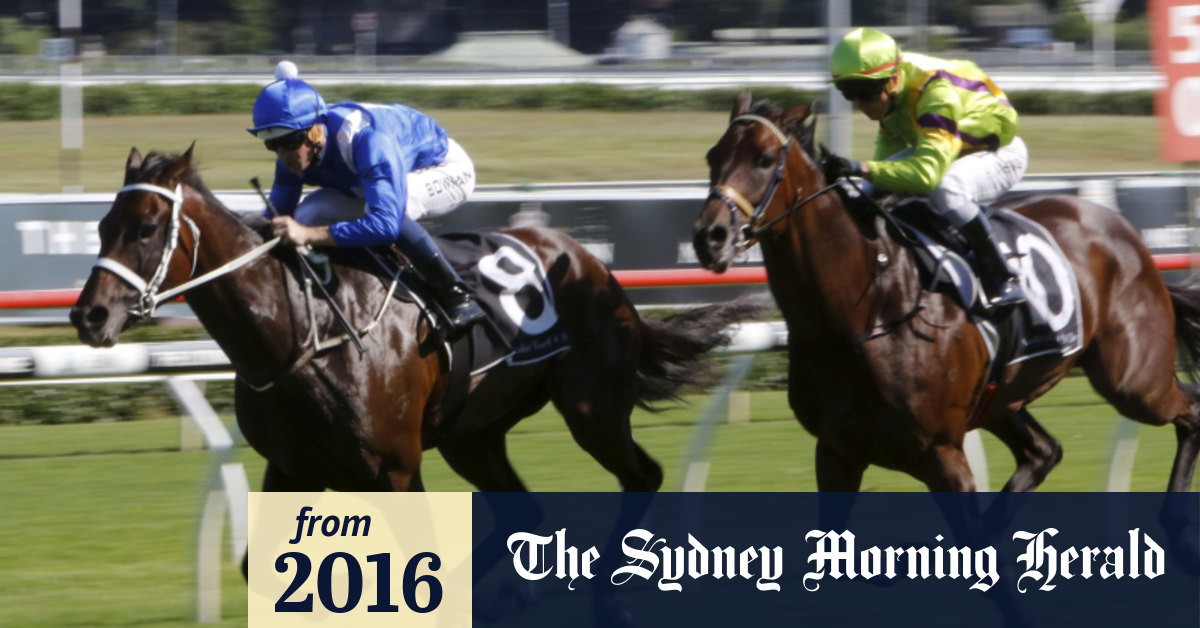 Trainer TJ Smith met his match in Peg Mullion