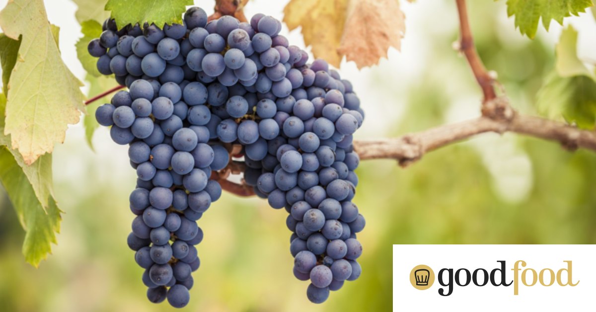 Grape variety clones: Science, not fiction