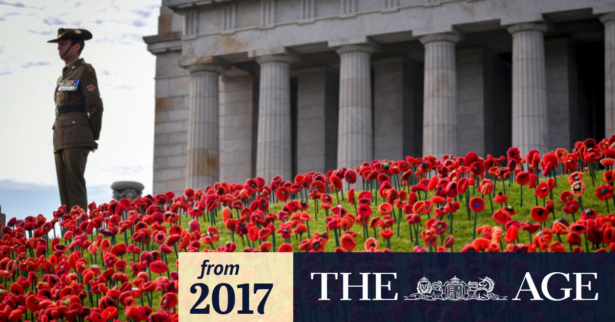 Remembrance Day: in a field of poppies at the Shrine the fallen are ...