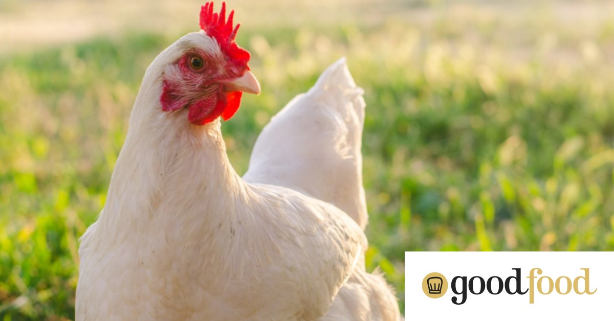 How do I know if a chicken is free of added hormones?